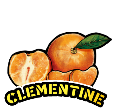 Shop by Flavor - HELLAVATED