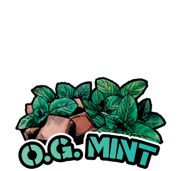 Shop by Flavor - HELLAVATED